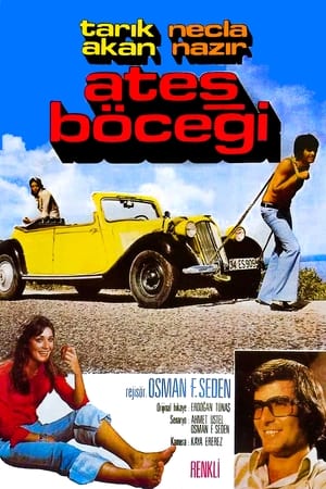 Ateş Böceği | YESILCAM TV